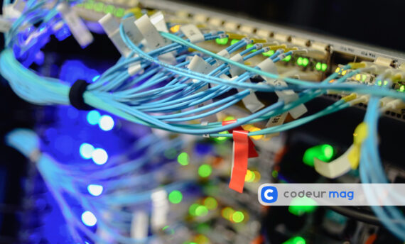 Quels sont les différents types de serveurs ? - Codeur Blog