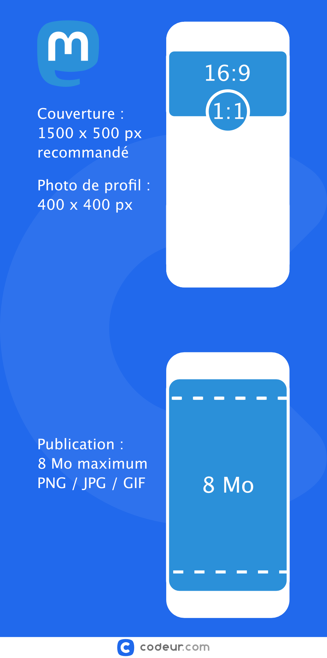 Le grand guide des tailles d’images des réseaux sociaux - À la SEOupe