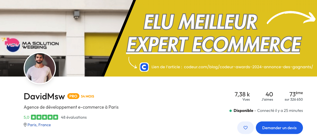 Interview de David Rajot : meilleur expert e-commerce aux Codeur Awards 2024 - À la SEOupe